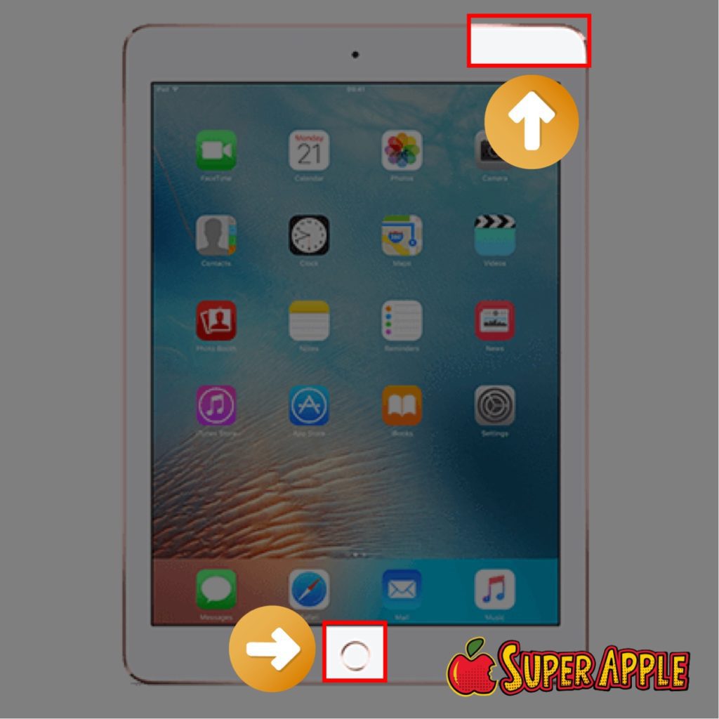 [TOP] Como Fazer Print Screen da Tela do iPad e iPhone. Passo a Passo ...